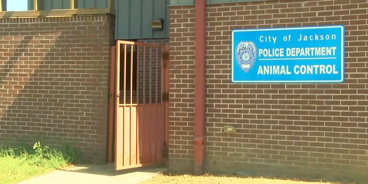 What’s keeping Jackson’s animal control unit from enforcing city ... What’s keeping Jackson’s animal control unit from enforcing city ...