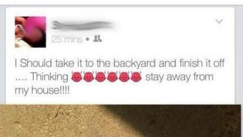 Viral Woman Brags About Burning Cat On Facebook